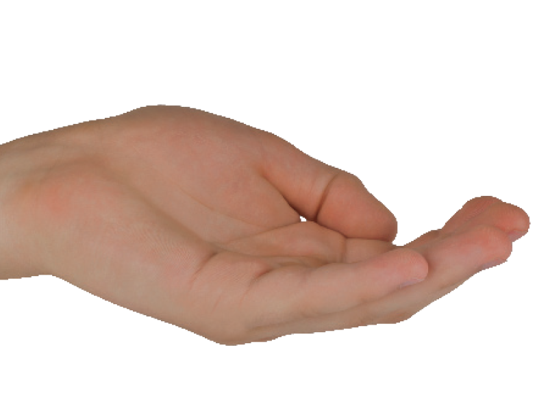 Portion Sizes. How Much Should You Eat? - Heart Foundation NZ