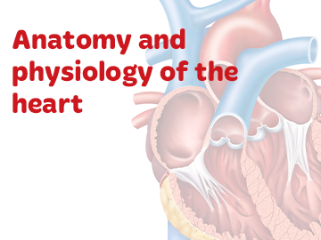 Online courses for nurses. CPD. - Heart Foundation NZ